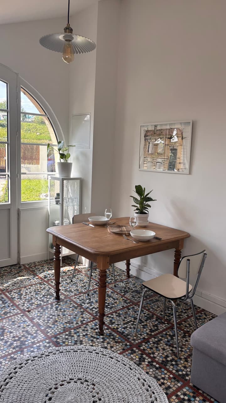 Charmant T2 Avec Jardin Proche De Bordeaux - Cenon