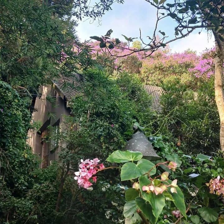 Assagay Forest Lodge - Cato Ridge