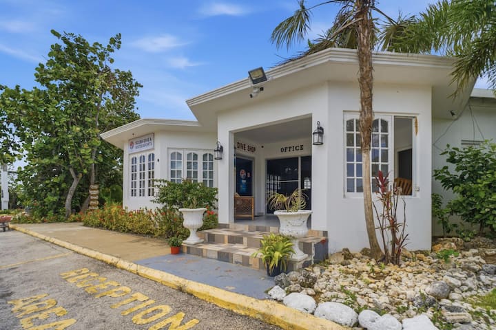 Loft Type Condo W/ Stunning Ocean View-508west - Negril