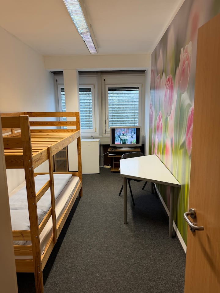 Tulpen-zimmer 2005 - Ingolstadt