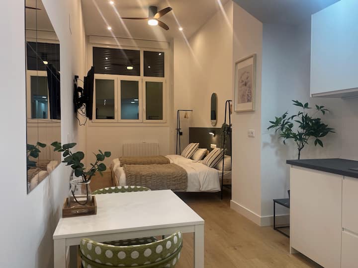 Bosko Loft 1: Twin/doble Urbano En Atxuri - Bilbao