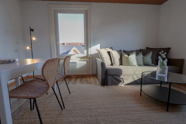 Simply Cozy 1 Br Apartment In Winterthur - Winterthur