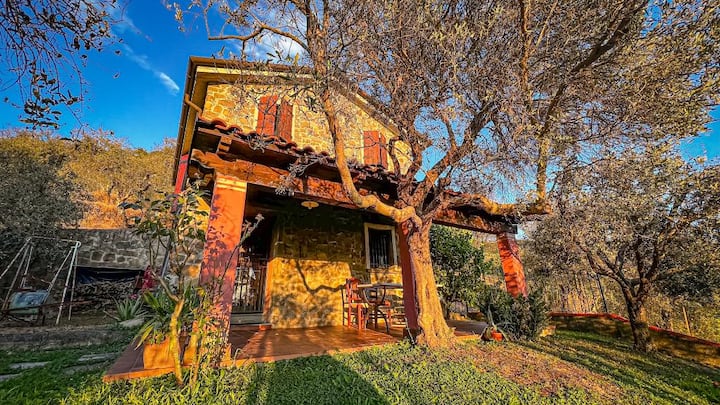 Villetta San. Bartolomeo - Sarzana