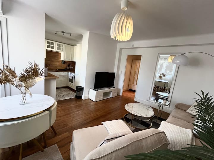 Dcu - Studio Palm Beach - Cannes