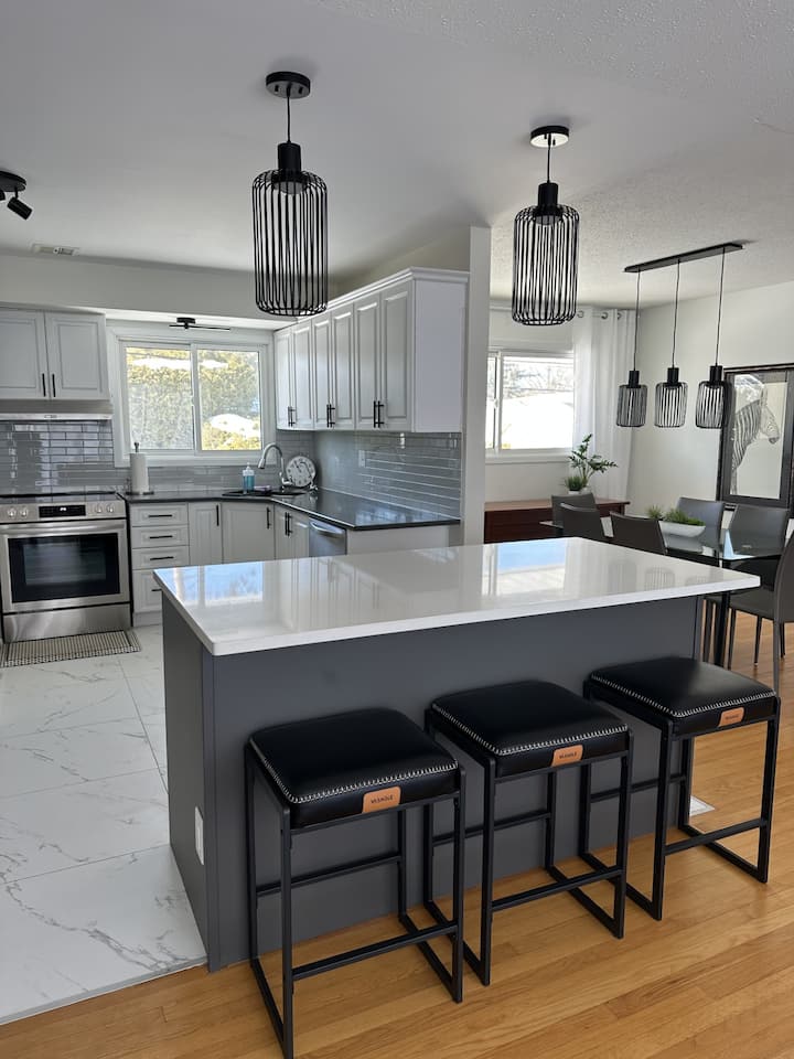 Newly Updated Mcm 3bdr Apartment - Ottawa