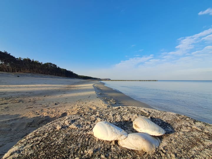 Apartament Polaris - Poland