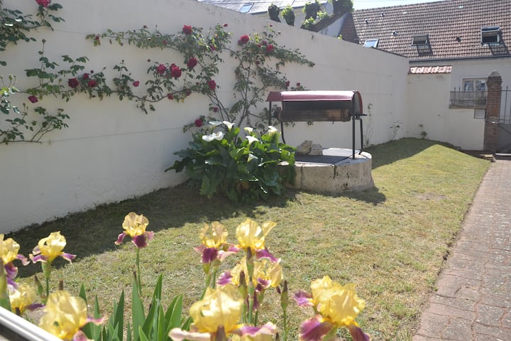 Gien Centre Ville Studio Neuf En Rez-de-chaussée - Loiret