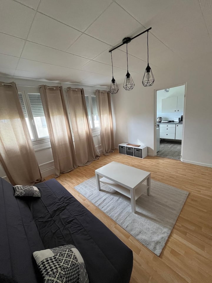 Appartement Lumineux 53 M² Bron - ibis Lyon Est Bron