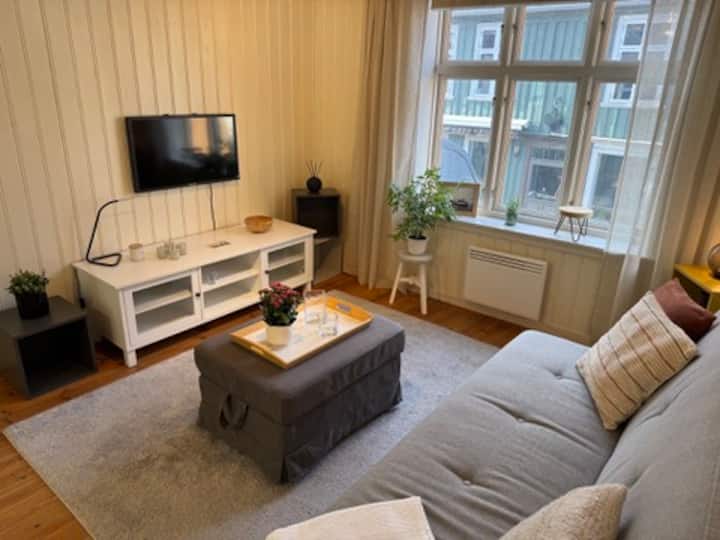 Gamle Bybro - Trondheim