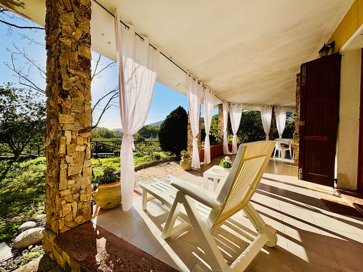 Vita Di Mare Nella Natura - Solanas