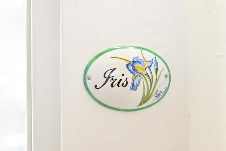 Lucia's Apartments - Iris - Ischia