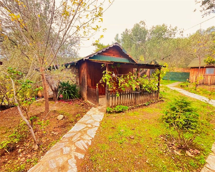 Wooden Nature House In Kazdağları | For 2 Guests - Edremit