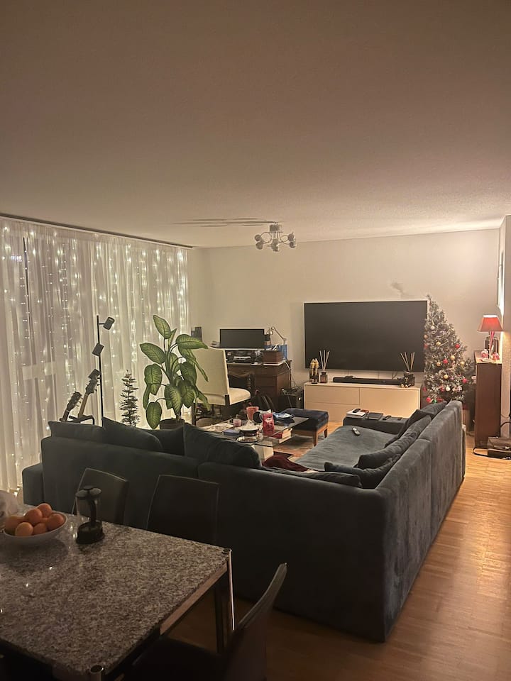 Appartement Cosy à Lausanne, Proche Du Lac - Lausanne