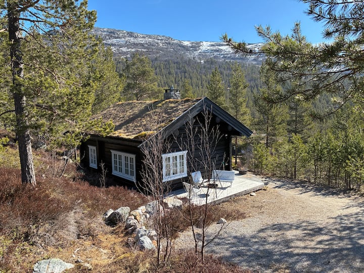Koselig Og Moderne Liten Tømmerhytte. - Norway