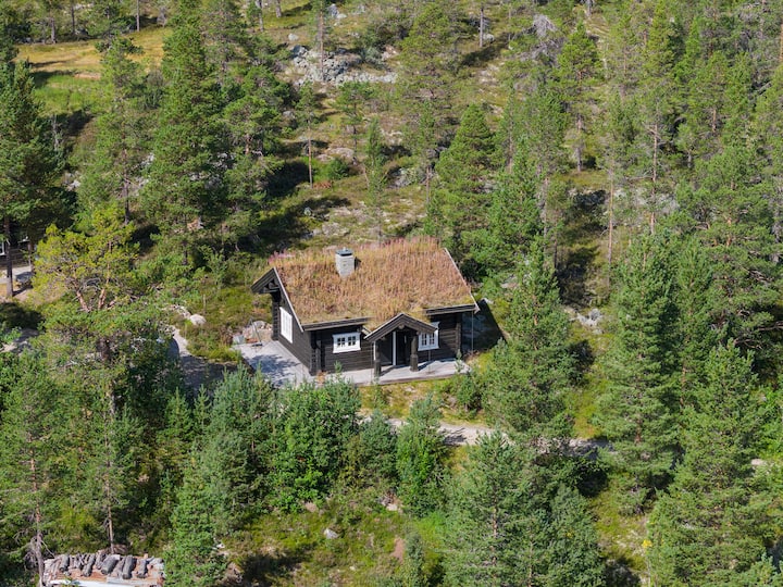 Koselig Og Moderne Liten Tømmerhytte. - Greenland