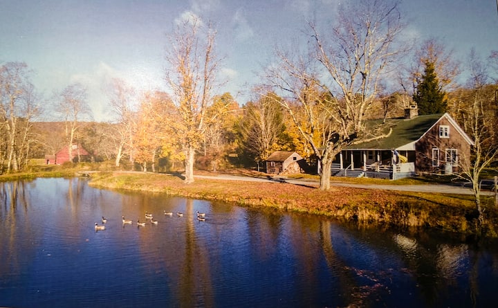 Ward's Cottage - Livingston Manor, NY