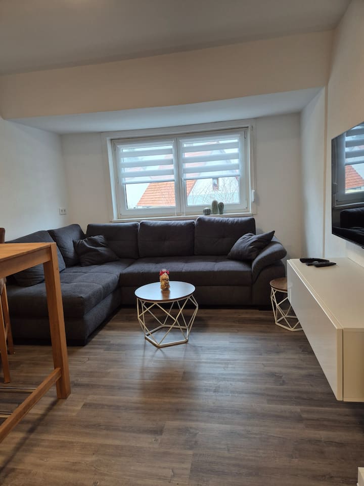 Helle Möbilierte Ferienwohnung, Erfurt Zentrumsnah - Erfurt