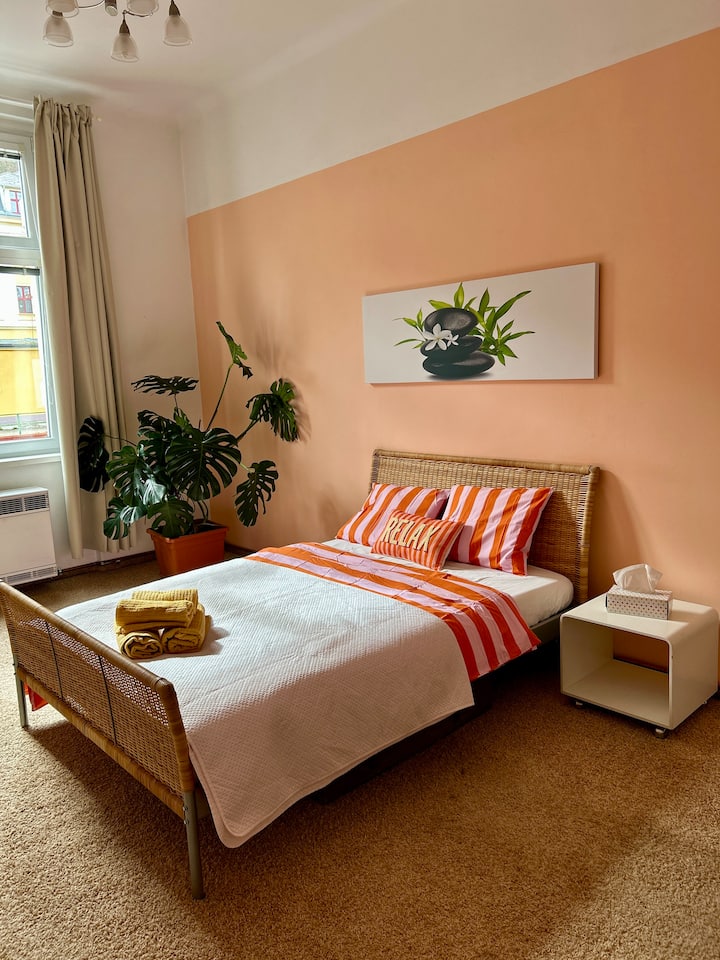 Moskevska Apartment - Karlovy Vary