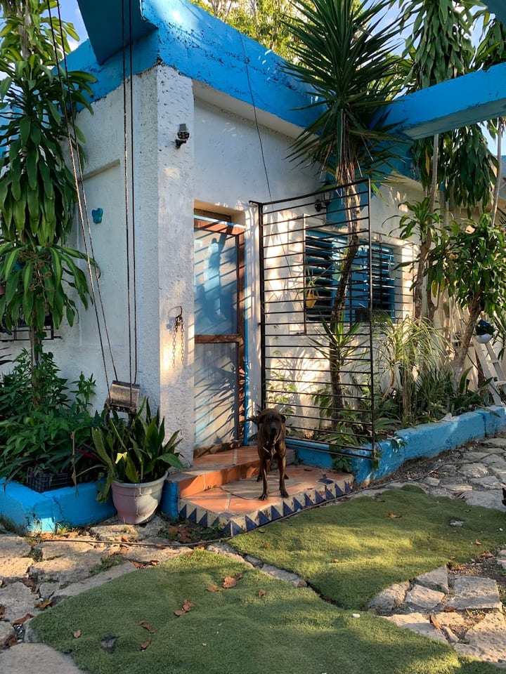 Nature Casita • Pool • Bikes • Fast Wifi - Cozumel