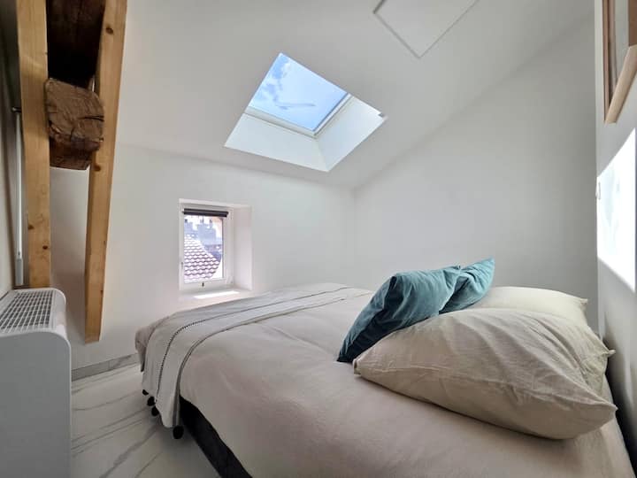 Le Secret • T2 Neuf Climatisé Au Cœur De Voiron - Voiron