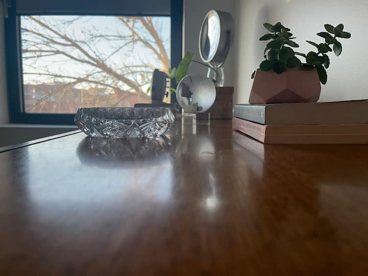 1-gig Fiber + Smart Intercom |3br/2ba| Uk Village - Chicago