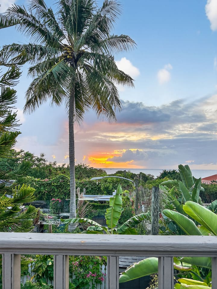 Downtown Oceanview 3bdr, Parking, Wifi Sunset View - Frederiksted