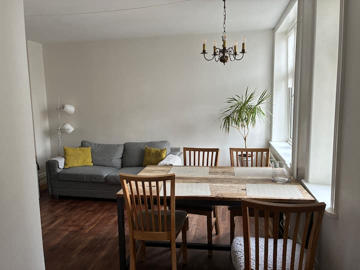 Two Bedroom Appartment Near City Center - Copenhague