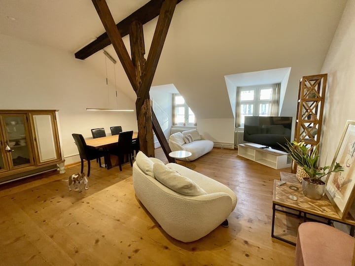 Art Basel Historic Apartment In Basel's Old Town - Basilea