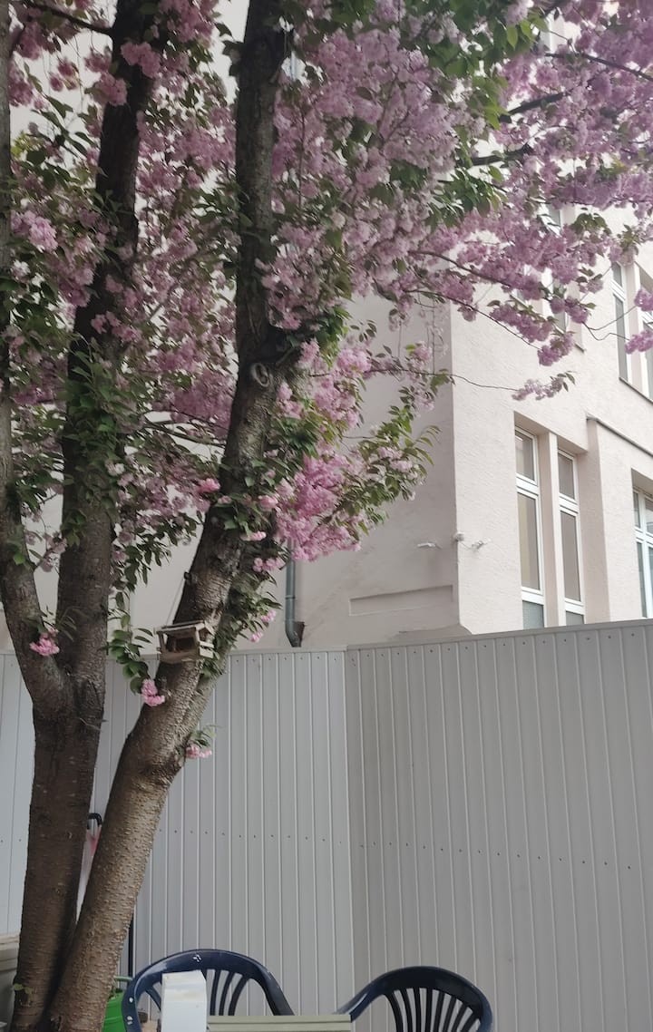 Modern Apt Old-building Charm At City & Neckarpark - Stuttgart