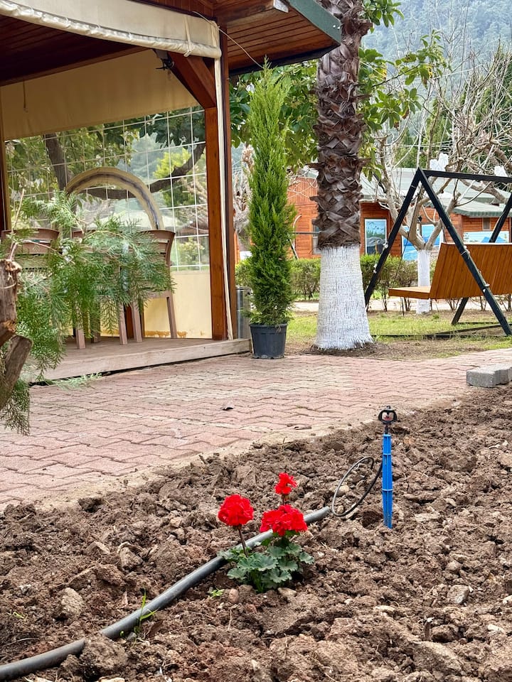 Likya Yanartaş Bungalows - Max. 4 Kişi Konaklama - Çıralı