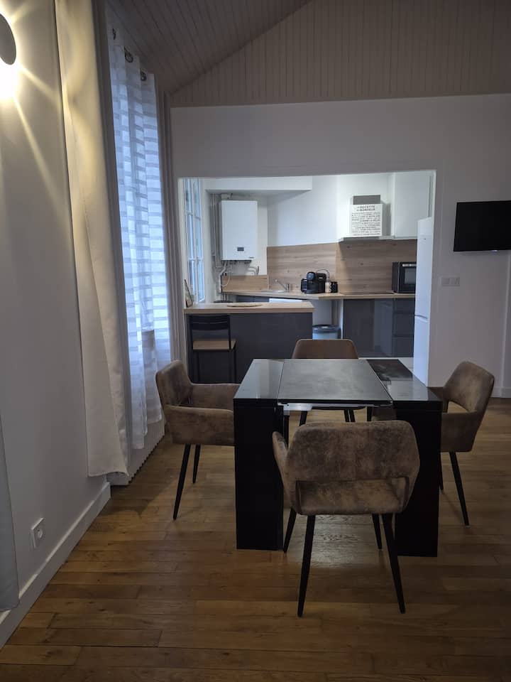 Charmant Duplex Avec Terrasse - Fontenay-aux-Roses