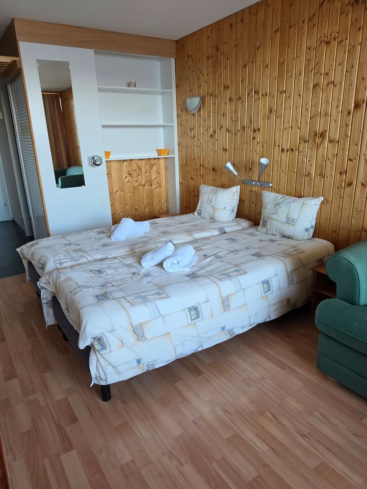 Studio Zodiaque 411 - Anzère