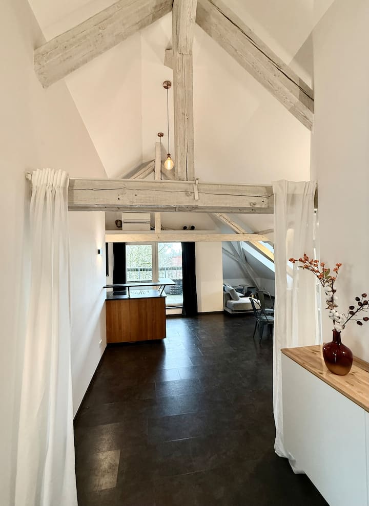 Einzigartig: Dachgeschoss-loft + Balkon | Augsburg - Augsburg