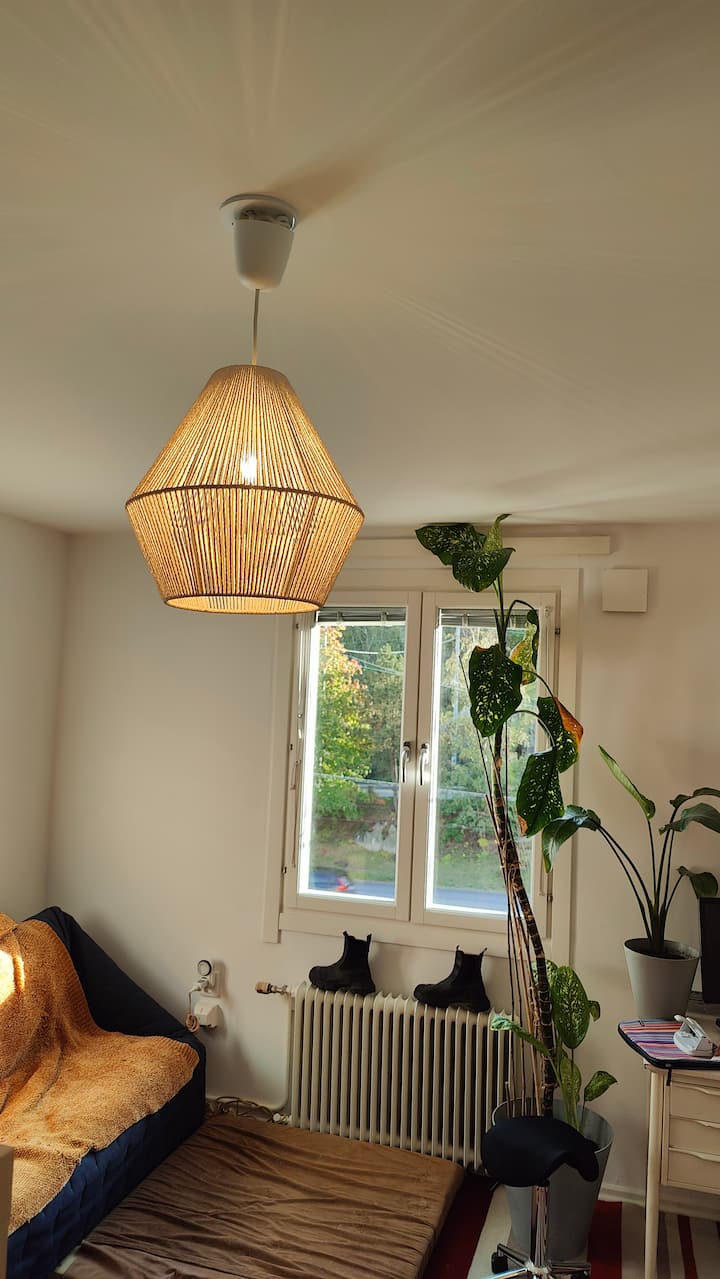 Hyggelig Lejlighed 10 Min Fra Centrum Af Göteborg - Gothenburg