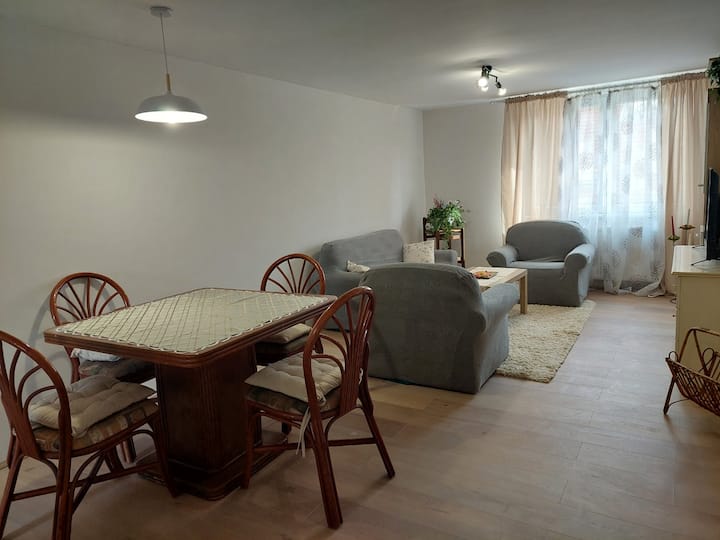 Srna Apartmani - Čačak