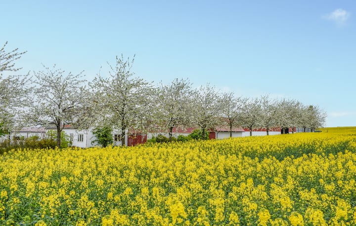 Gästhus På Bondgård - Tomelilla