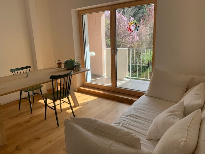 Charmante 3-zimmeraltbauwohnung In Gehobener Lage - Schlossberg