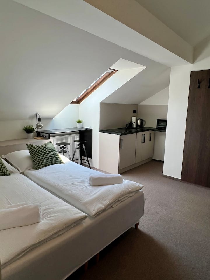 Skylight Studio In New Town Prague - Prága