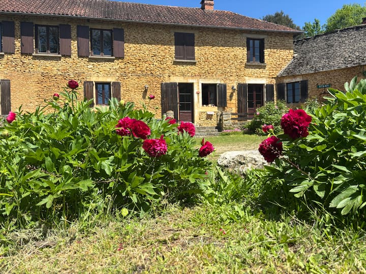 «&nbsp;La Terrasse&nbsp;» Location Gîte Proche Sarlat - Montignac