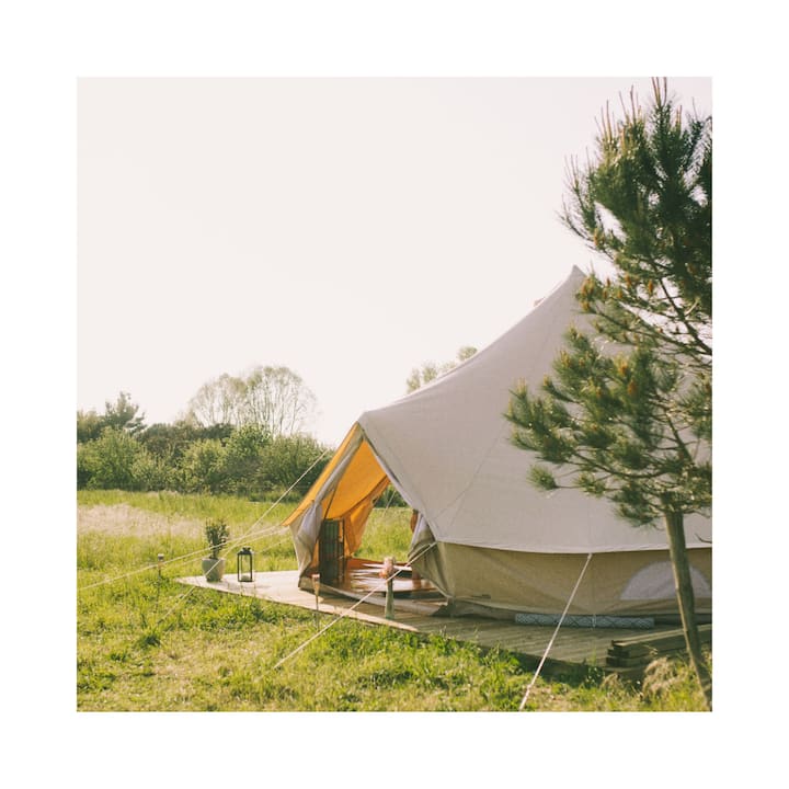 Slow Surf Camp Au Champ Des Sirènes - Vendée
