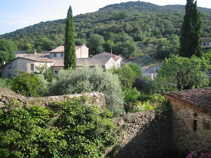 Charmerende Landsbyhus Med Have I Sydfrankrig. - Saint-Hippolyte-du-Fort