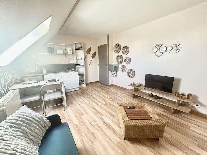 Studio Le Cosy - Trélazé