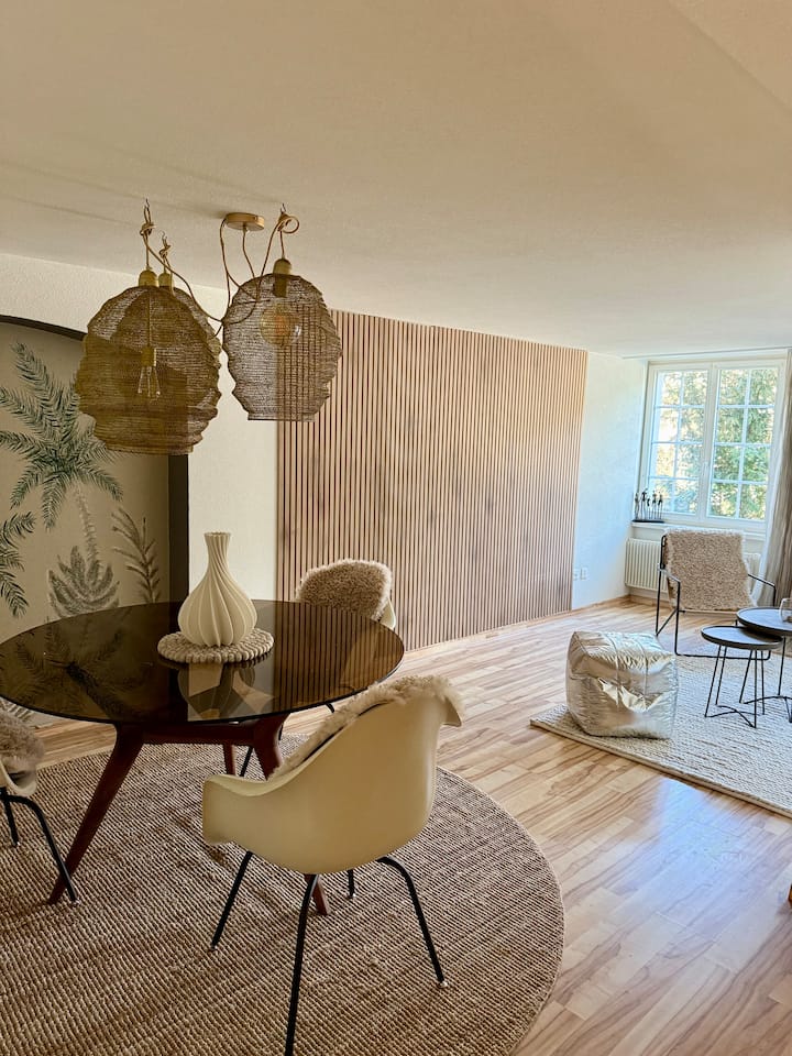 Moderne Sonnige Design Wohnung Mit Terrasse - 巴塞爾鄉村半州