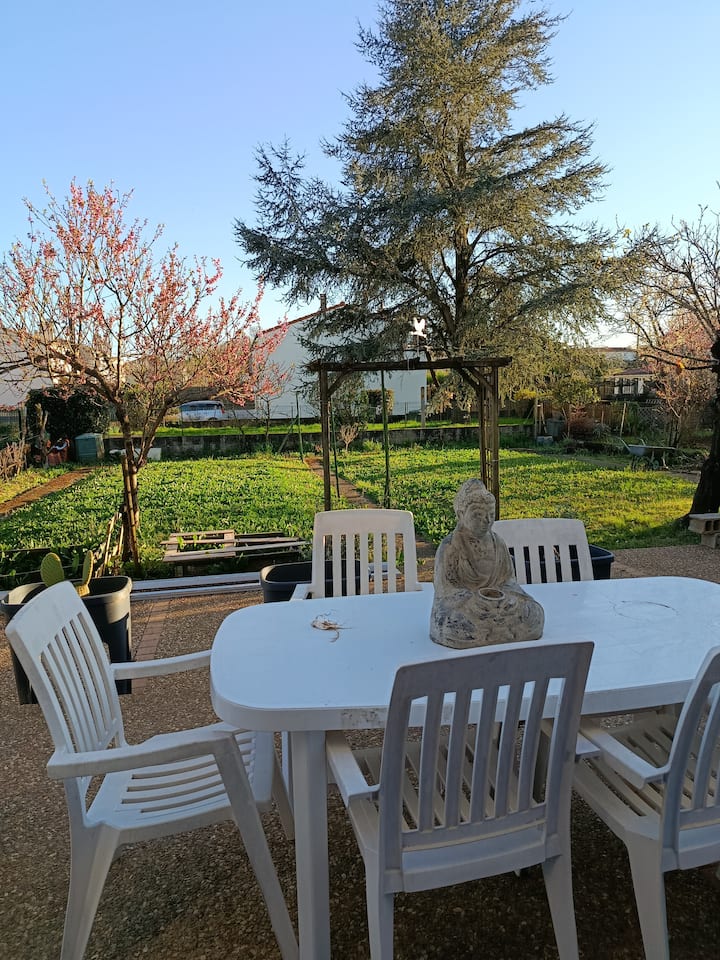 Location Saisonnière - Fontenay-le-Comte