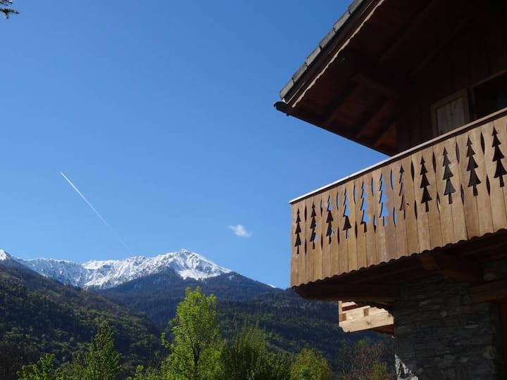 Studio Chalet Aime La Plagne - Aime