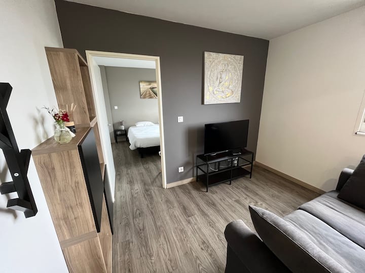 Appartement T2 Prox Cnpe Ufpi Bugey Aéroport Lyon - Lyon-Saint Exupéry Airport (LYS)