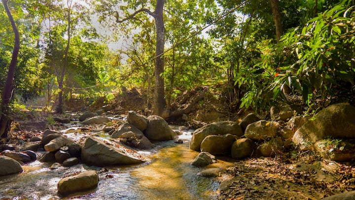 Villa Alibet | Cabaña Cerca A Minca | 8 Personas - Minca