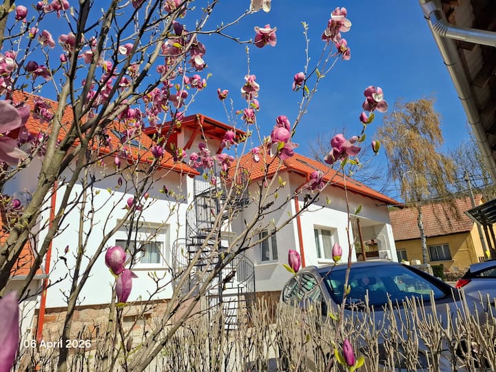 Panorámás Pihenés A Túraútvonalak Tövében - Esztergom