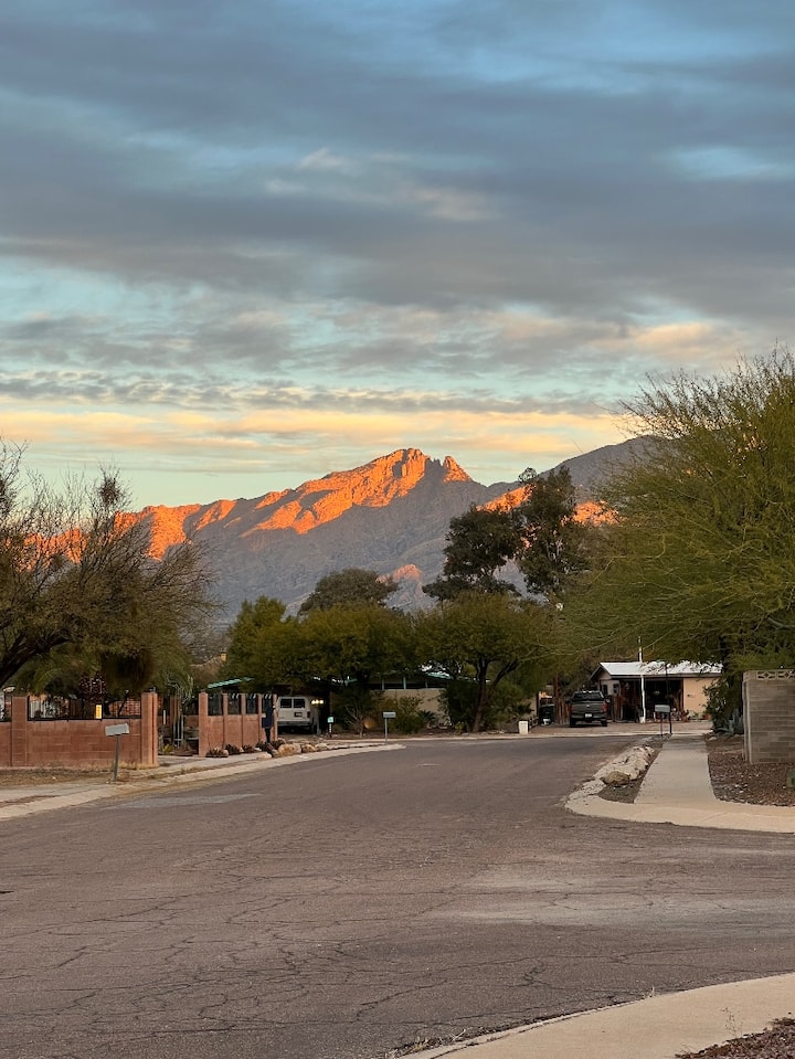 Old Fort Lowell Charm - East Bedroom - Tucson, AZ