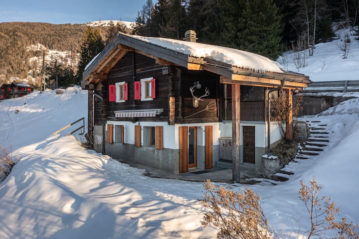 Les Mélèzes: Chalet Familial 4 P 1/2 + Mezzanine - Switzerland
